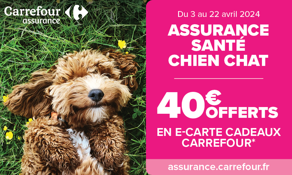 Carrefour Banque : Crédit, Epargne, Assurance, Cartes bancaires ...